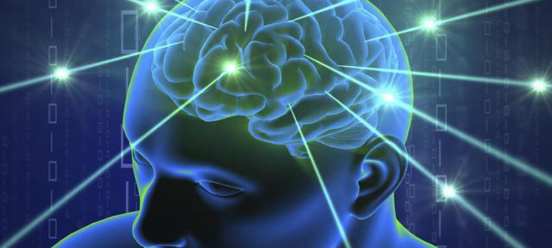 ¿Por qué el cerebro humano es tan grande? | Cat 5
